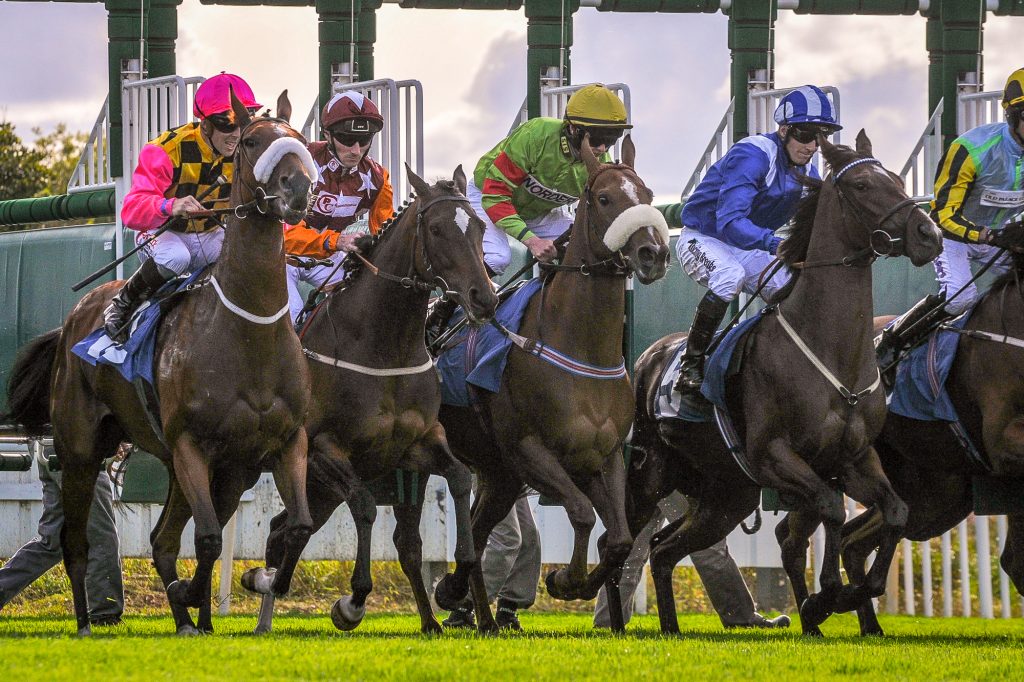 (Glorious) Goodwood Angles, Stats & Pointers... - Narrowing The Field
