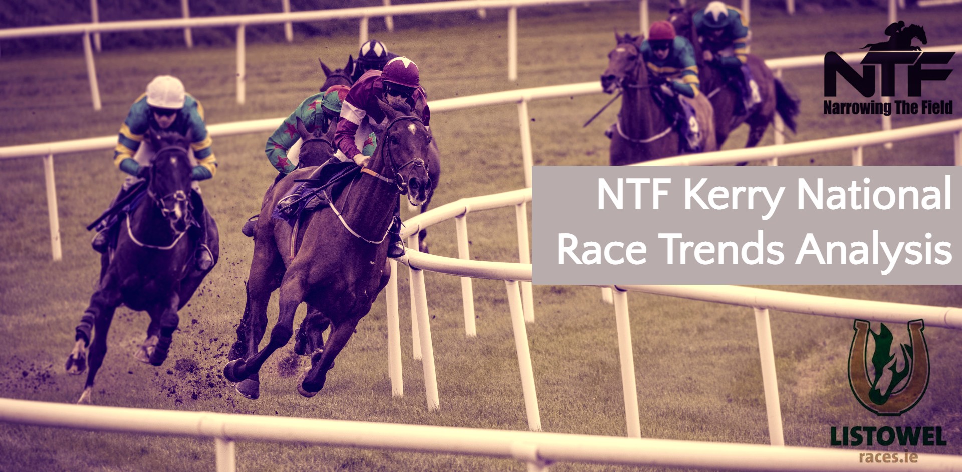 2022 Kerry National: NTF Trends Analysis...