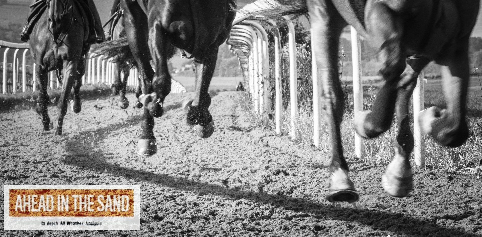 Ahead In The Sand 2023 - Thank You! - Narrowing The Field