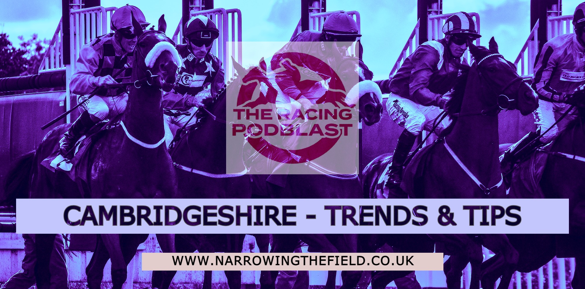 2023 Cambridgeshire Day Trends, Tips & Analysis - Narrowing The Field 2023 Cambridgeshire Day Trends, Tips & Analysis - Narrowing The Field