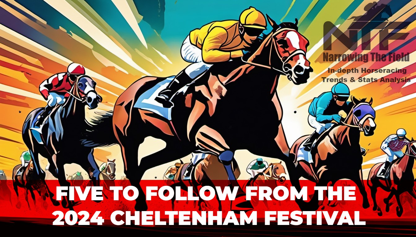 Five under the radar runners to follow from the 2024 Cheltenham ...